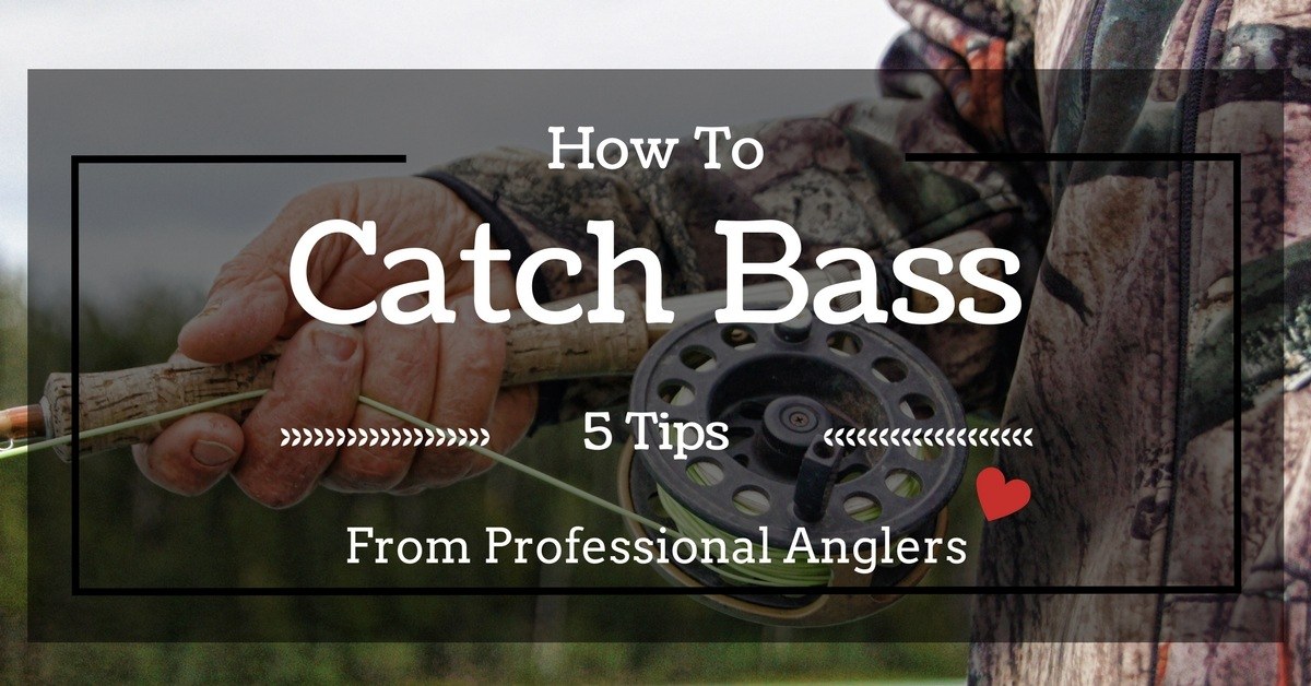 How to Catch Bass: 5 Tips from Professional Anglers in 2017